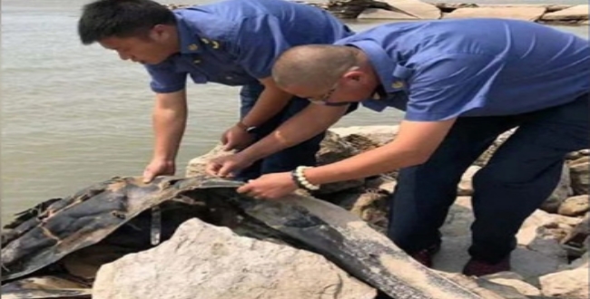 65 அடி நீளத்தில் ஆற்றில் மிதந்த மர்ம உயிரினம்..! - Seithipunal