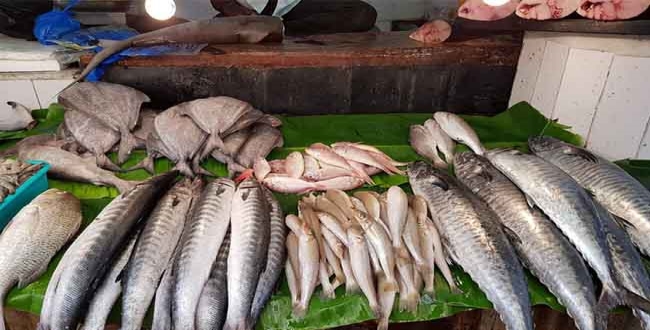 கொரோனா ஊரடங்கால், மீன் விற்கும் பிரபல நடிகர்.. அதிர்ச்சியில் ரசிகர்கள் ...