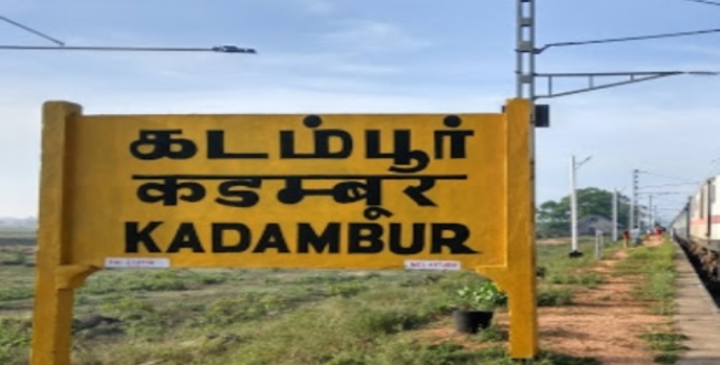 கடம்பூர் வனப்பகுதியில் கண்டெடுக்கப்பட்ட மக்னா யானை உடல்! வனத்துறை ...