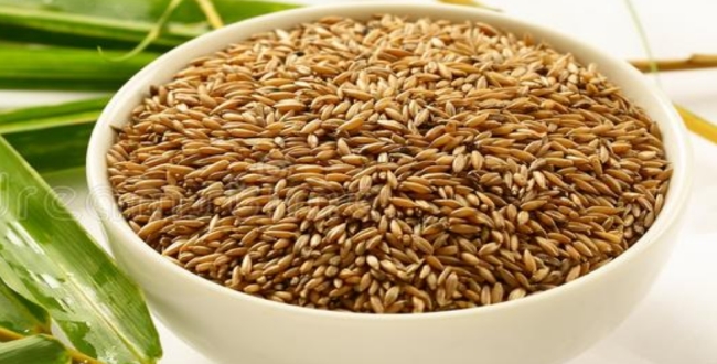 மூங்கில் அரிசியில் இவ்வளவு நன்மைகளா? - Seithipunal