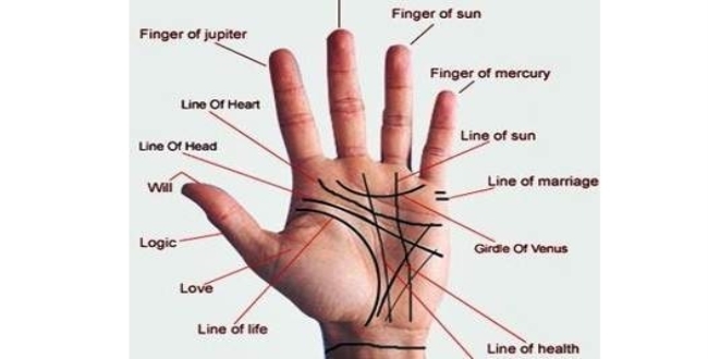 கையில் உள்ள தெரியாத சில ரேகைகளை... தெரிந்துக் கொள்ளலாம் வாங்க ...