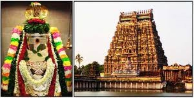 தினம் ஒரு திருத்தலம்.. பிரம்மோற்சவ காலங்களில் மட்டுமே பூக்கும் மரம் ...
