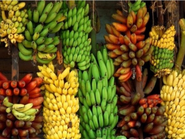 வாழைப்பழத்தில் இப்படி ஒரு அற்புதமா? யாரும் மிஸ் பண்ணாதீங்க! - Seithipunal