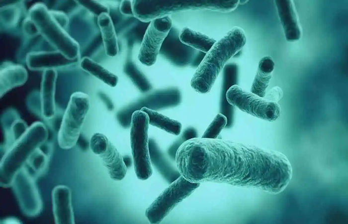 ஜப்பானில் பரவி வரும் சதை உண்ணும் பாக்டீரியா, இரண்டு பேர் பலி ...