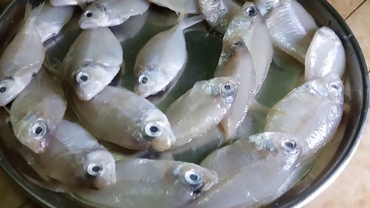 சுவையான மற்றும் உடலுக்கு சத்தை வழங்கும் காரப்பொடி மீன் குழம்பு செய்வது ...