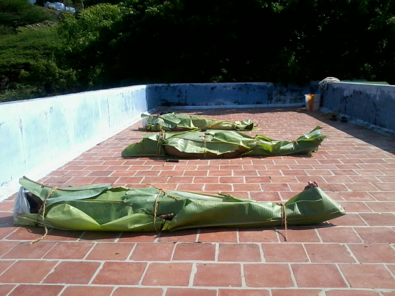 உடலுக்கு நன்மையை வழங்கும் வாழையிலை குளியலை மேற்கொள்வது எப்படி ...