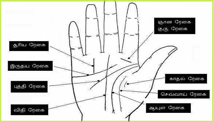 உங்க கையில் உள்ள ரேகைகள்.....இப்படி இருந்தால் ஆபத்தாம்!! - Seithipunal